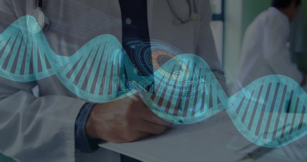 Doctor Analyzing DNA Structure on Digital Interface in Medical Research ...