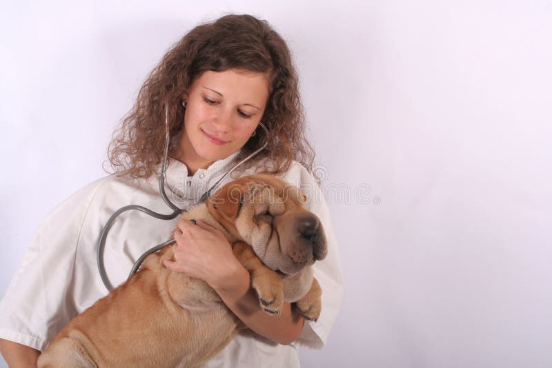 Doctor animal foto de archivo. Imagen de médico, adulto - 10715994