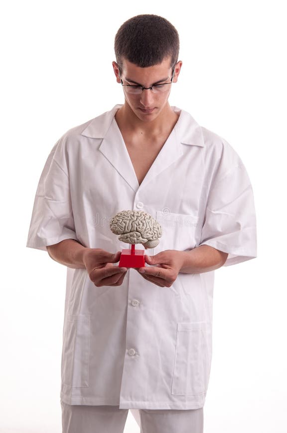 Doctor with Brain Model in His Hands Stock Image - Image of matte ...
