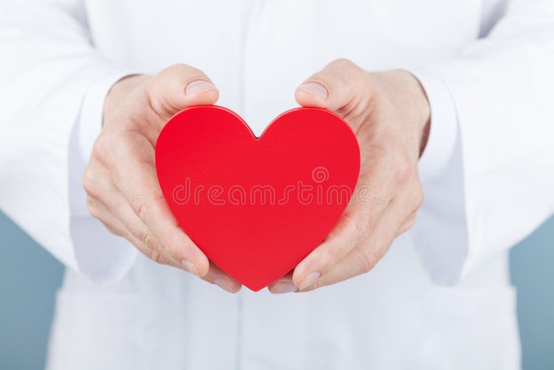 Doctor Cardiologist Holding A Red Heart In His Hands Cardiology And