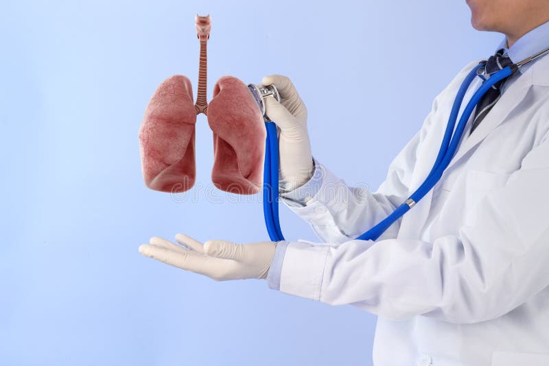 Doctor Check Respiratory of Lung Stock Image - Image of blood ...