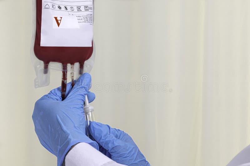 A Doctor Checking on a Blood Bag To Start Transfusing Blood To the ...