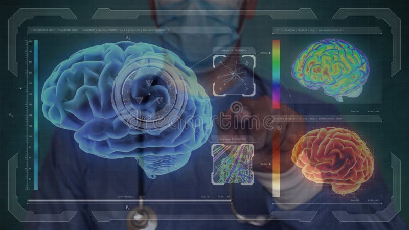 Doctor Checking Heart And Brain Testing Result, Analysis With Modern ...