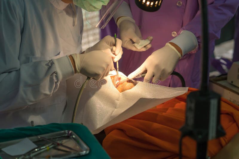 The Doctor Cleaning the Teeth Patient with Ultrasonic Tool Stock Image ...