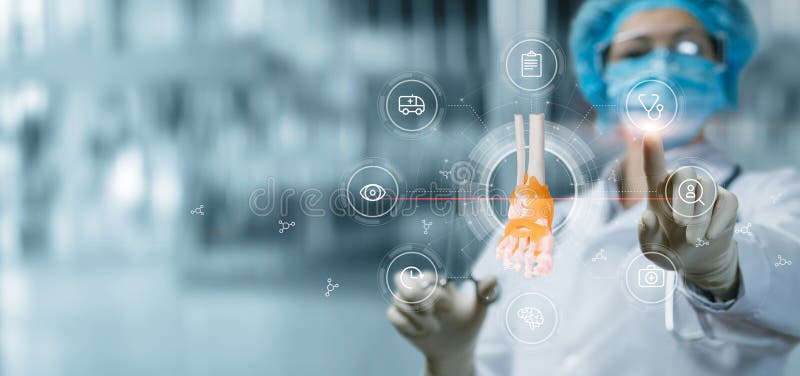 Doctor Conducts Computer Diagnostics of the Ankle Joint Stock Image ...