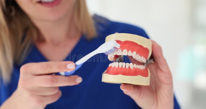 Doctor Demonstrates Process of Brushing Teeth with Toothbrush Using a ...
