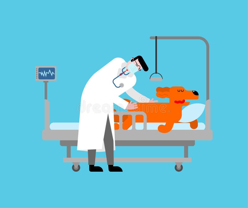 Doctor and Dog. Veterinarian with Pet Stock Vector - Illustration of ...