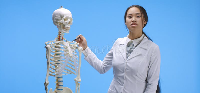 Doctor Explaining Anatomy with Skeleton Stock Image - Image of ...