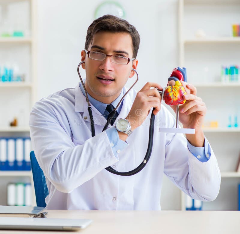 Doctor Explaining the Heart Model Stock Image - Image of doctor ...