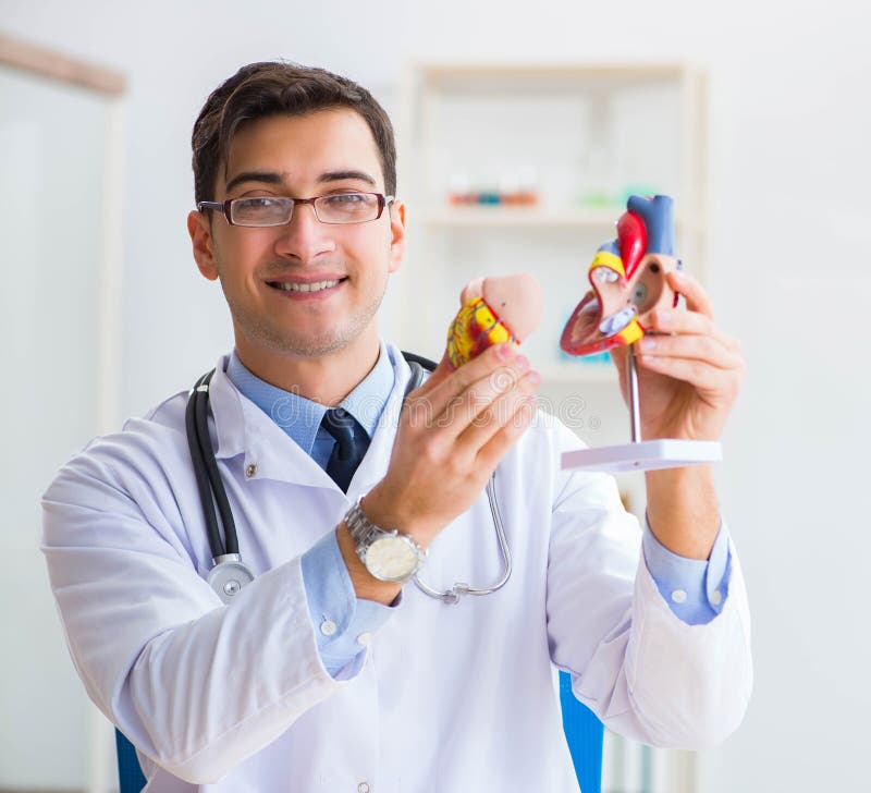 Doctor Explaining the Heart Model Stock Image - Image of explaining ...
