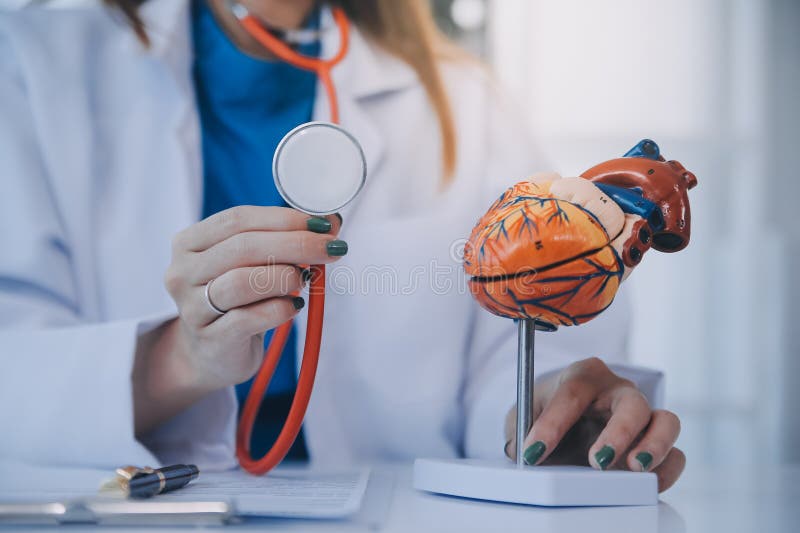 Doctor Explaining Heart To Elderly Patient. Doctor Explaining the Heart ...