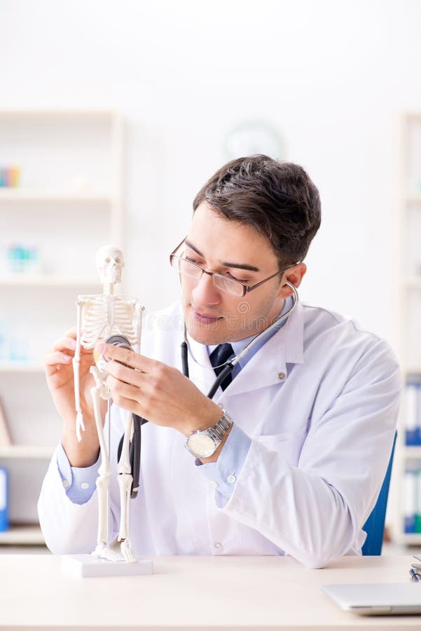 The Doctor Explaining Human Body on Skeleton Stock Photo - Image of ...