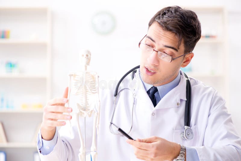 The Doctor Explaining Human Body on Skeleton Stock Photo - Image of ...