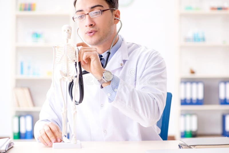 The Doctor Explaining Human Body on Skeleton Stock Photo - Image of ...