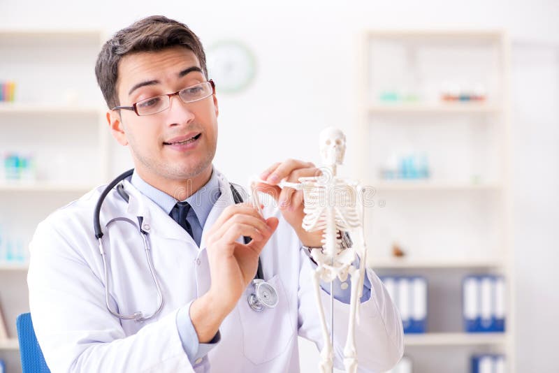 The Doctor Explaining Human Body on Skeleton Stock Photo - Image of ...