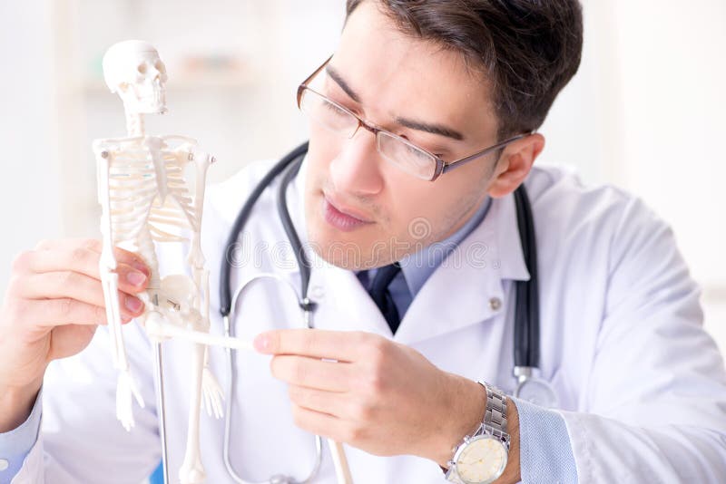The Doctor Explaining Human Body on Skeleton Stock Photo - Image of ...