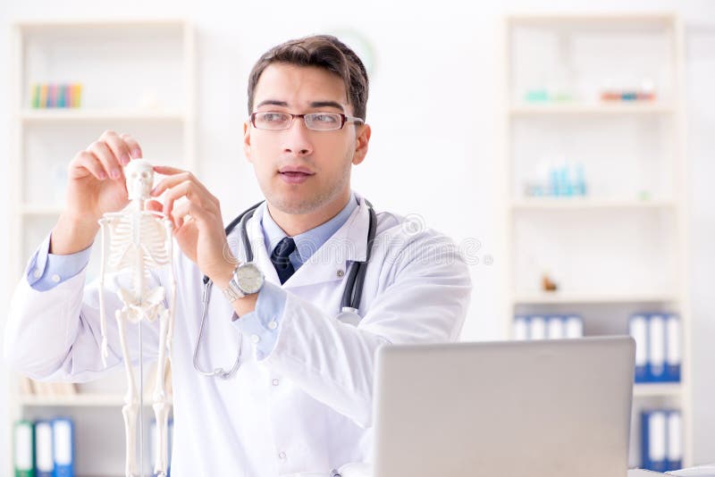 The Doctor Explaining Human Body on Skeleton Stock Photo - Image of ...