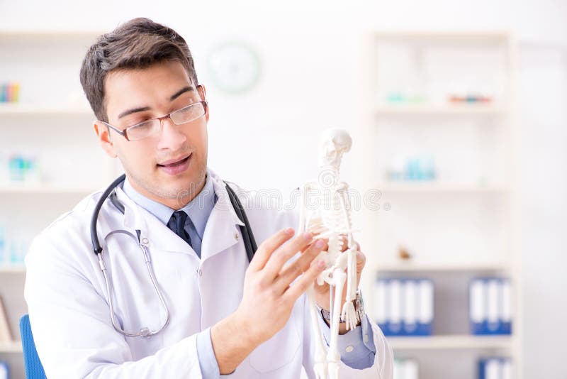 The Doctor Explaining Human Body on Skeleton Stock Photo - Image of ...