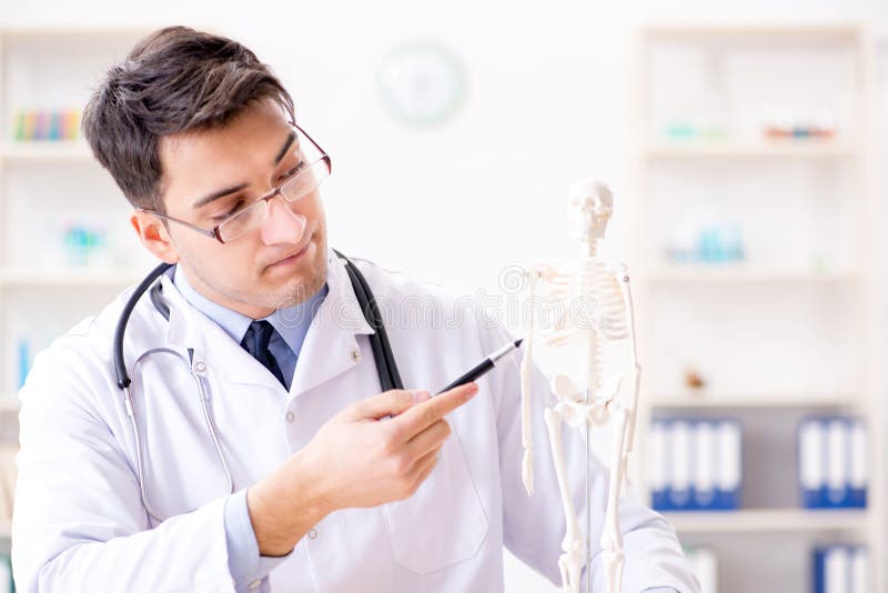 The Doctor Explaining Human Body on Skeleton Stock Photo - Image of ...