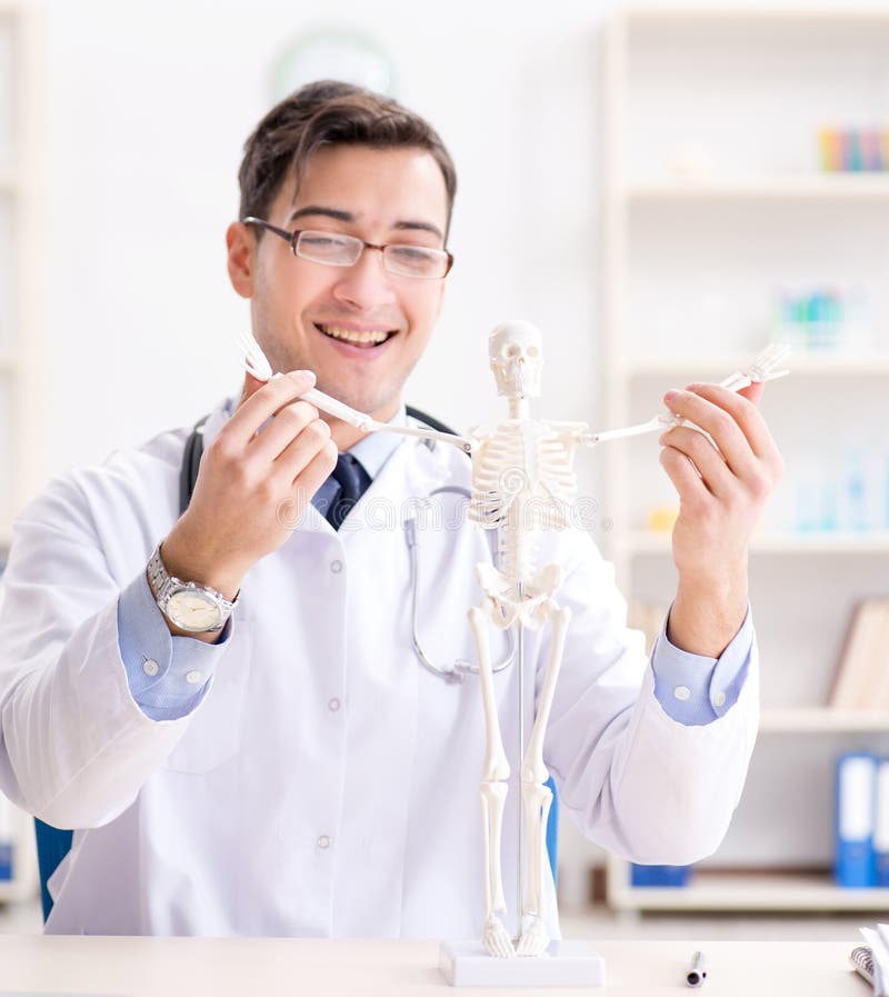 Doctor Explaining Human Body on Skeleton Stock Image - Image of joint ...