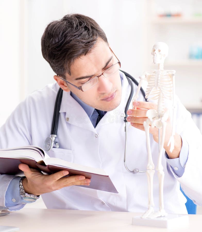 Doctor Explaining Human Body on Skeleton Stock Photo - Image of ...