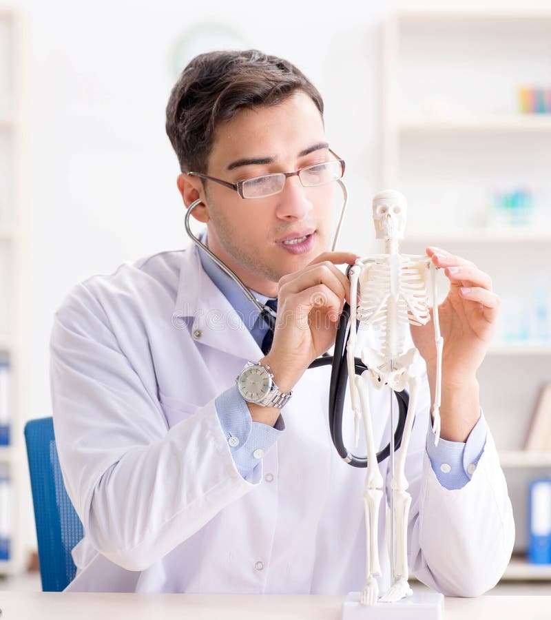 Doctor Explaining Human Body on Skeleton Stock Image - Image of anatomy ...