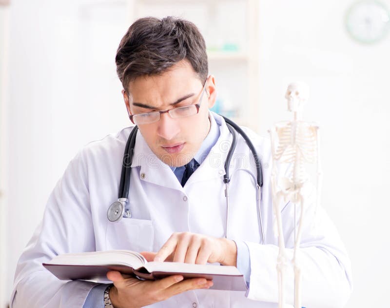 Doctor Explaining Human Body on Skeleton Stock Image - Image of human ...