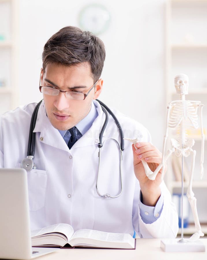Doctor Explaining Human Body on Skeleton Stock Image - Image of ...