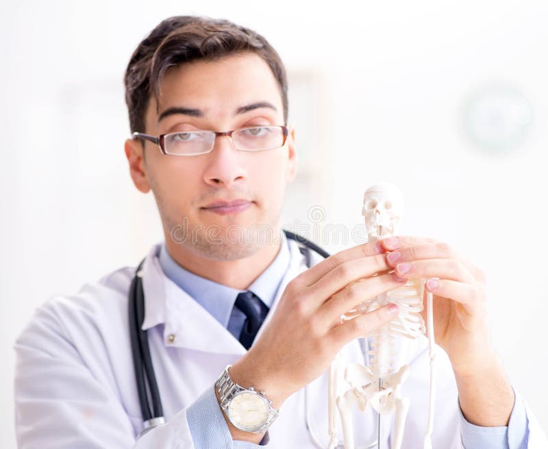 Doctor Explaining Human Body on Skeleton Stock Photo - Image of anatomy ...
