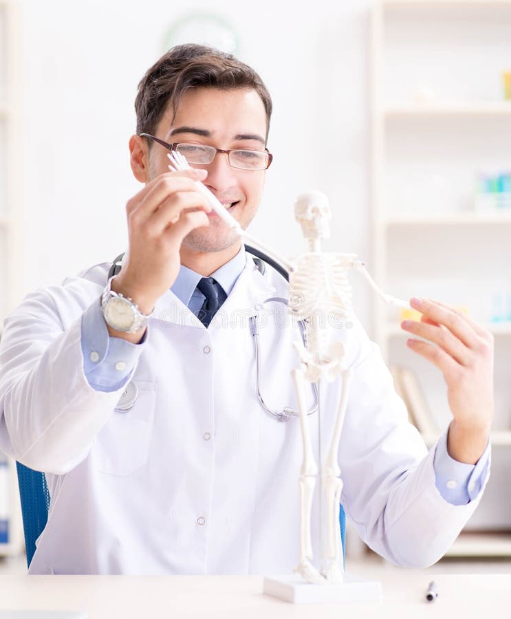 Doctor Explaining Human Body on Skeleton Stock Photo - Image of exam ...