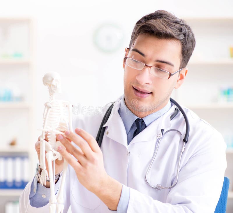 Doctor Explaining Human Body on Skeleton Stock Photo - Image of body ...