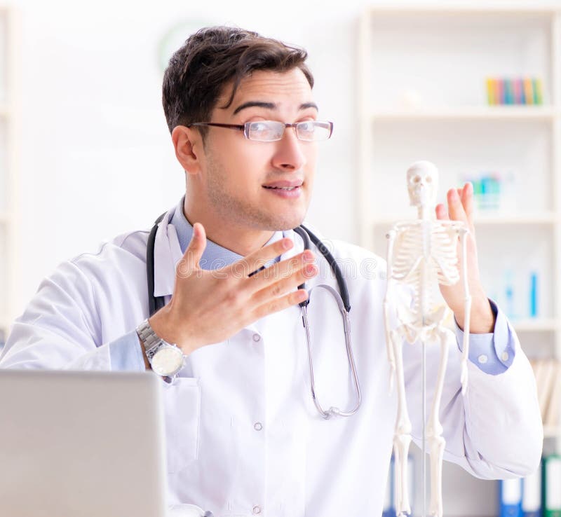 Doctor Explaining Human Body on Skeleton Stock Photo - Image of ...