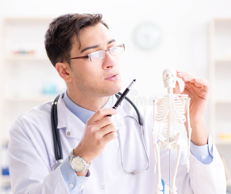 Doctor Explaining Human Body on Skeleton Stock Image - Image of medical ...