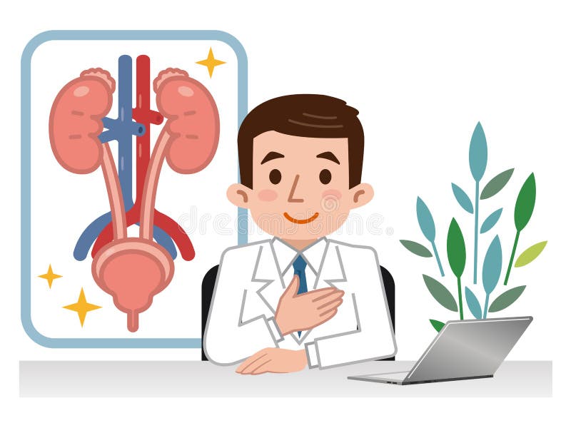 Doctor explaining urology stock vector. Illustration of design - 93975345