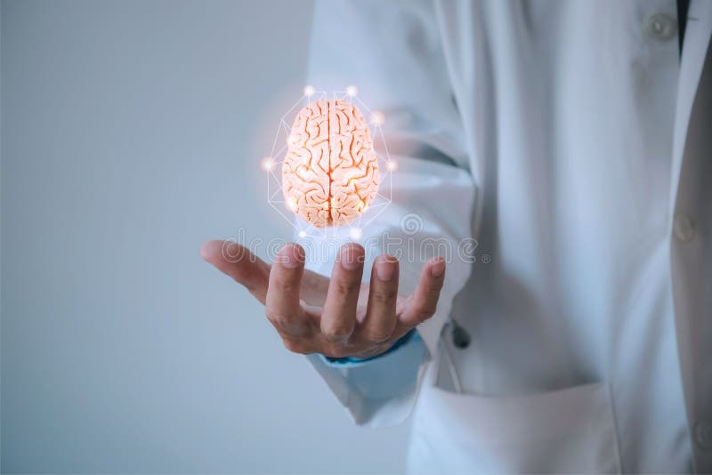Doctor Hand and Brain Model Stock Photo - Image of care, hospital ...