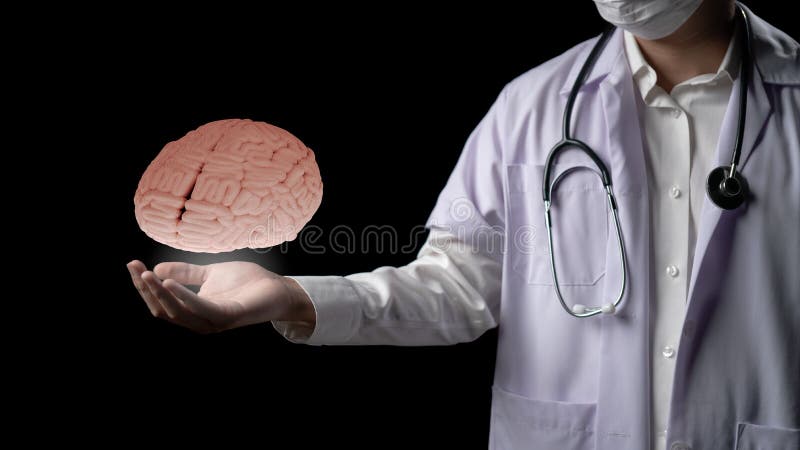 Doctor Hand with Graphics of Human Brain Structure. 3D Rendering Stock ...