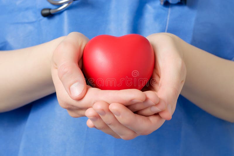 Heart in doctor s hand stock photo. Image of healthy - 31719062
