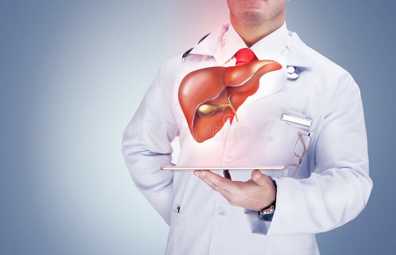 Doctor Holding Human Organs on the Tablet on Grey Background . High ...