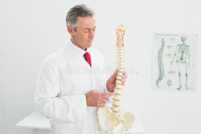 531 Skeleton Lab Coat Stock Photos - Free & Royalty-Free Stock Photos ...