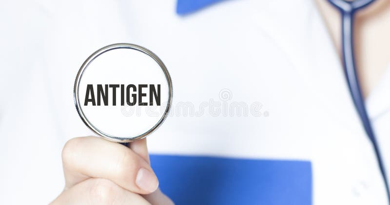 Doctor Holding a Stethoscope with Text ANTIGEN, Medical Concept Stock ...