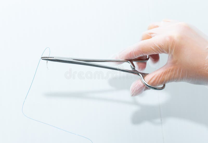 Doctor Holding Surgical Forceps Suture Needle, Suturing Material ...