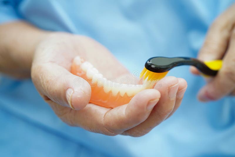 Doctor Holding Teeth Denture in Hand for Dentist Studying about ...