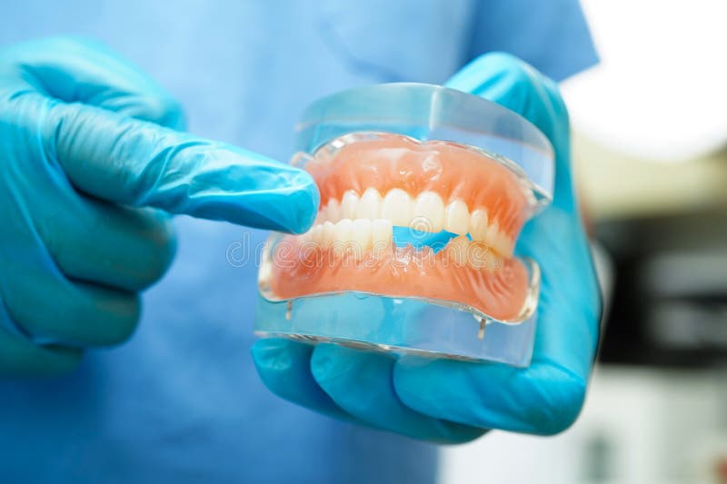 Doctor Holding Teeth Denture in Hand for Dentist Studying about ...
