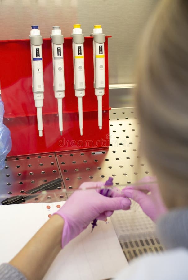 Man Woman Reproductive System Stock Photos - Free & Royalty-Free Stock ...