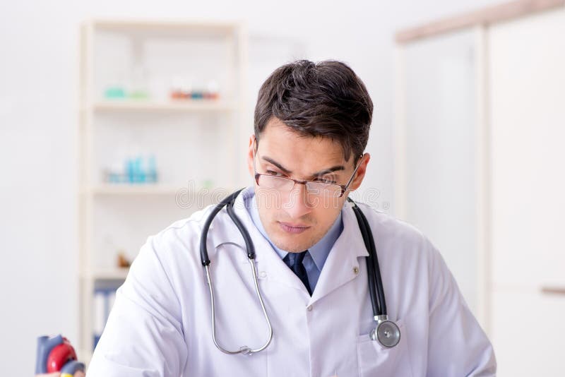 The Doctor Lecturer Explaining the Heart Model Stock Photo - Image of ...