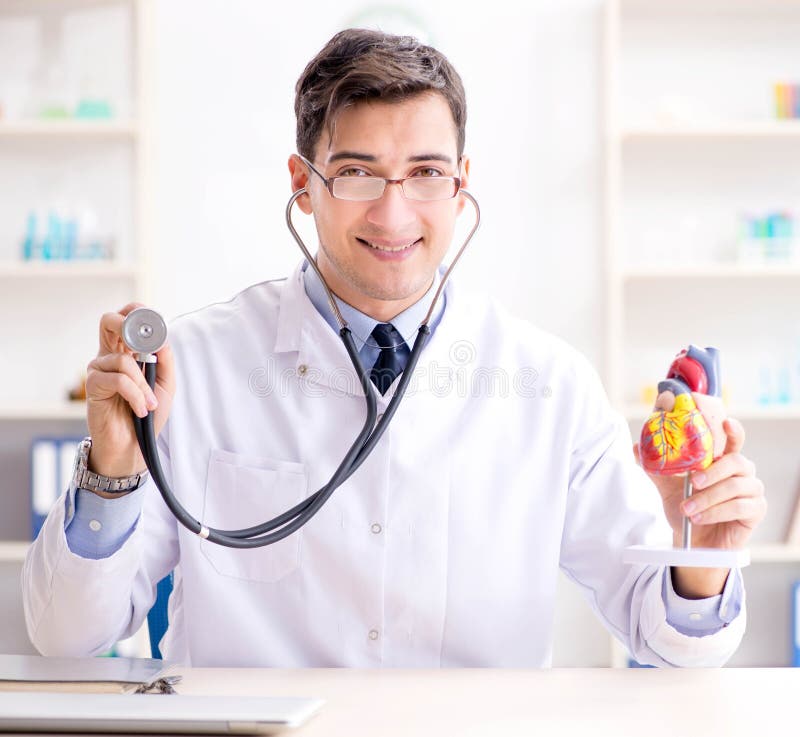 Doctor Lecturer Explaining the Heart Model Stock Image - Image of ...