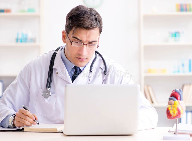 Doctor Lecturer Explaining the Heart Model Stock Image - Image of ...