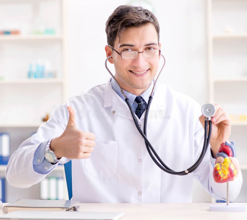 Doctor Lecturer Explaining the Heart Model Stock Image - Image of heart ...