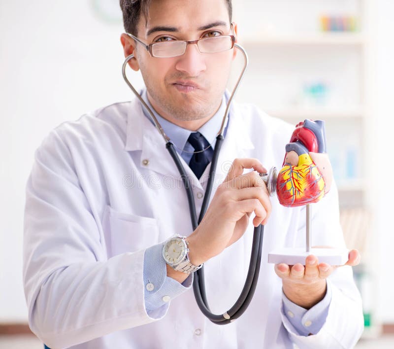Doctor Lecturer Explaining the Heart Model Stock Photo - Image of heart ...