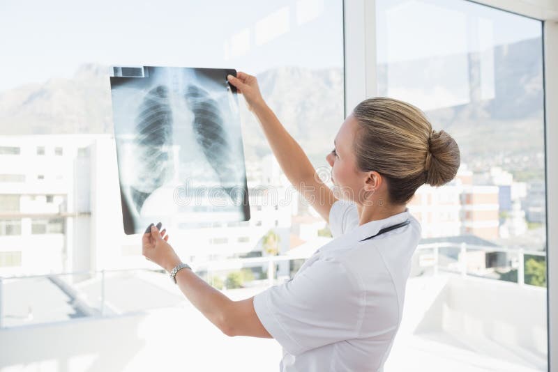 Doctor Looking at Xray beside Windows Stock Photo - Image of occupation ...